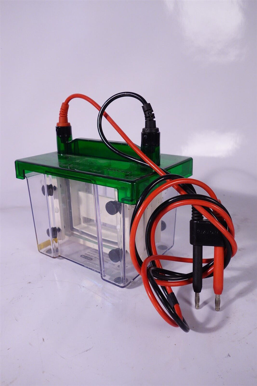 BIO-RAD MINI PROTEAN II TRANS-BLOT CELL – Hurst & Associates